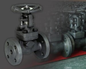 Forged Steel Gate Valve – Shiv Valves Industries
