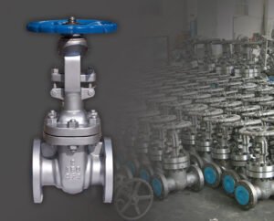 Gate Valves – Shiv Valves Industries